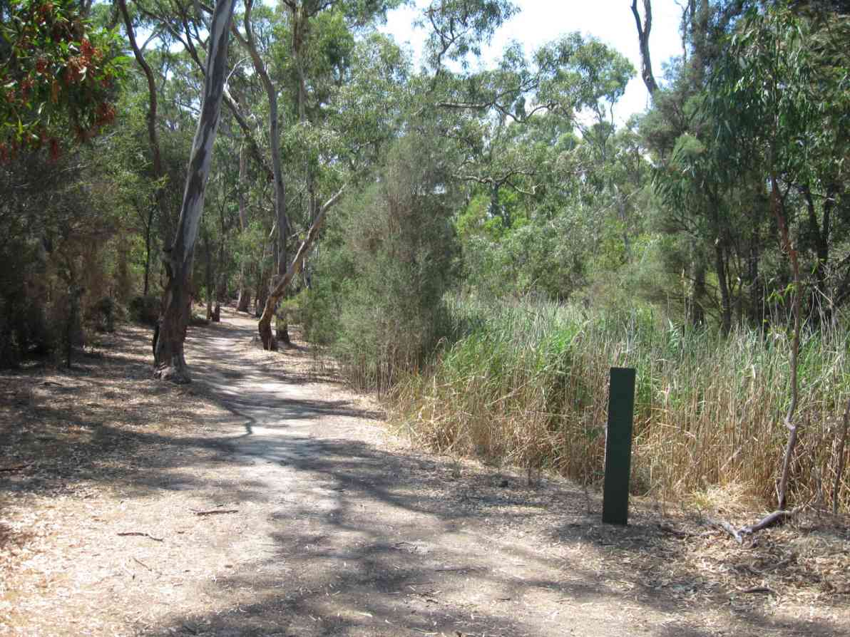 TRACKS, TRAILS AND COASTS NEAR MELBOURNE : Gresswell Forest, - Watsonia