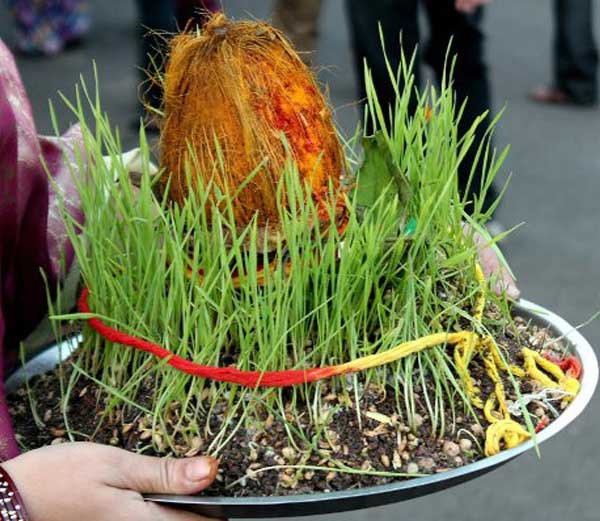 Hi I am Kaivi..: The real significance of growing Jaware / Khetri in ...