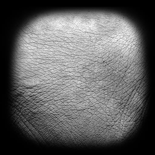 Z-Brush Project!: Alpha Test #1