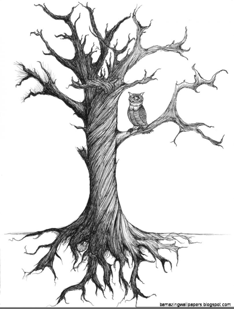 Simple Tree Roots Coloring Coloring Pages