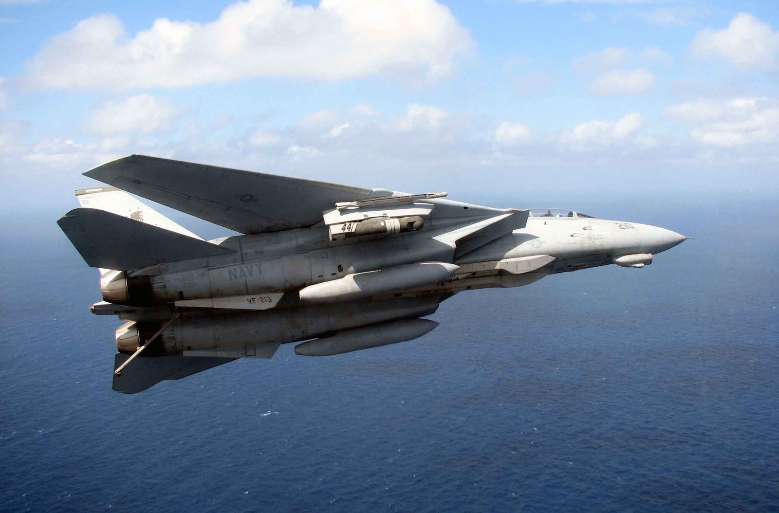 nhungdoicanh: Grumman F-14D Super Tomcat