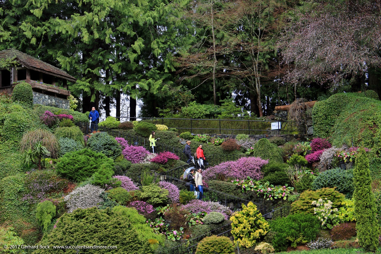 Butchart Gardens on the cusp of spring