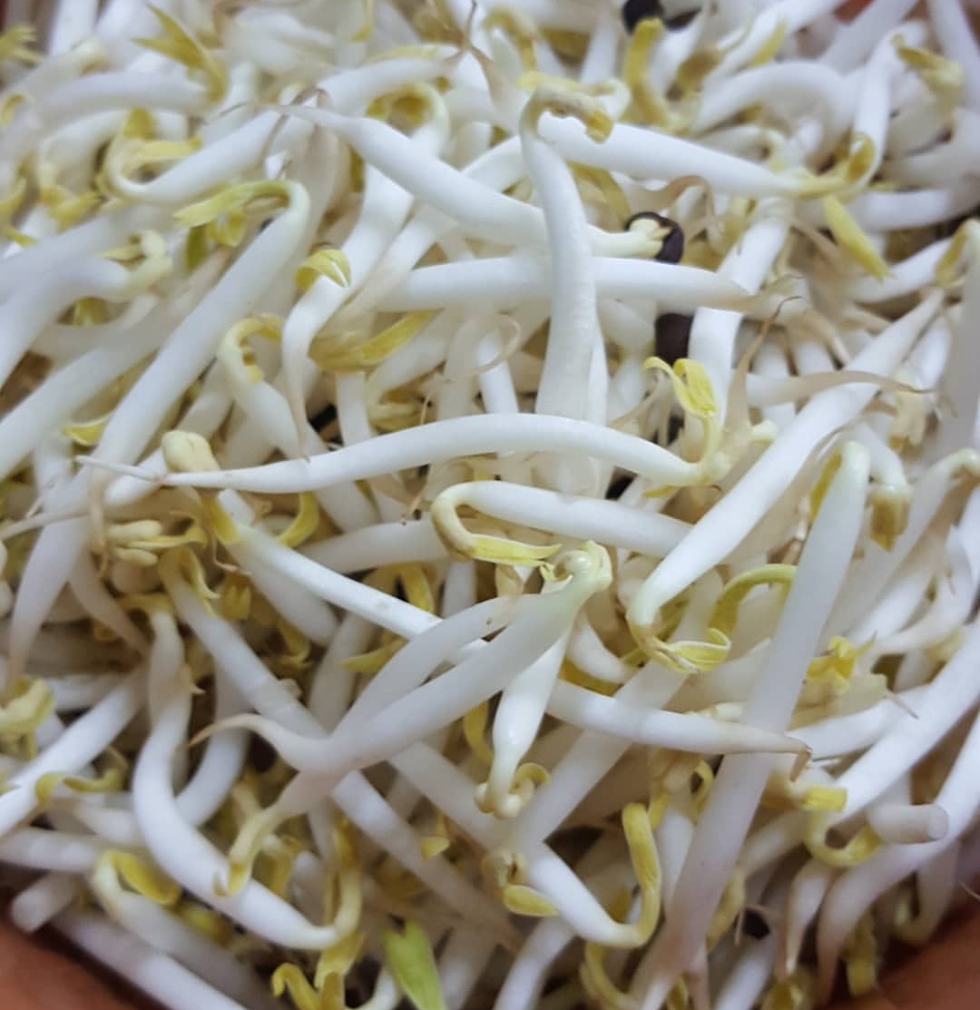 SUMBER ILHAM: KHASIAT SAYUR TAUGEH