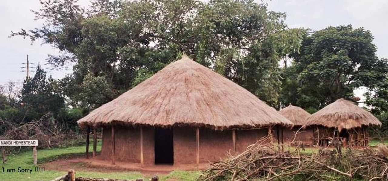 LUO COMMUNITY - BORMAN GRAPHICS