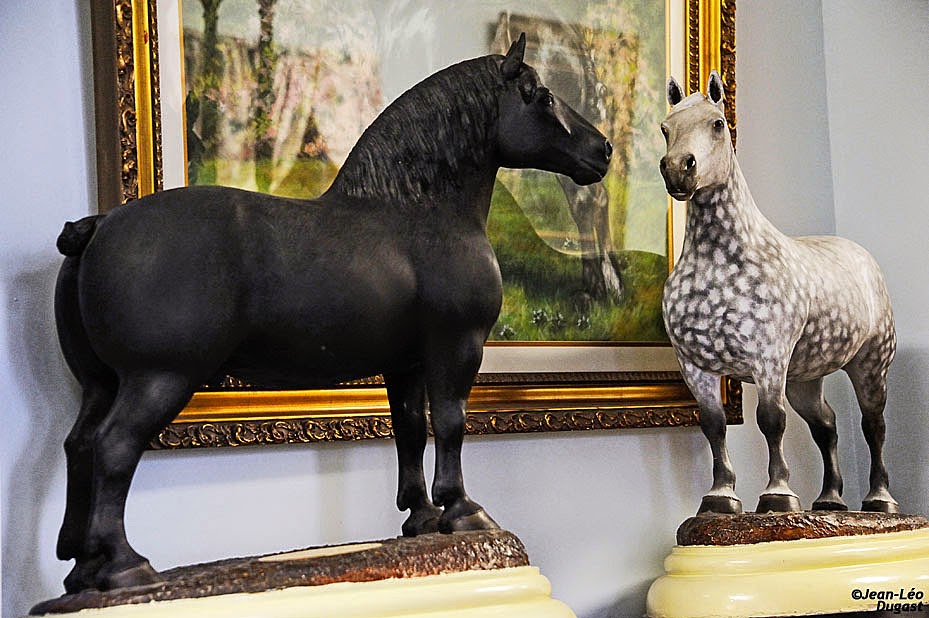 Percheron International: Le Percheron Idéal