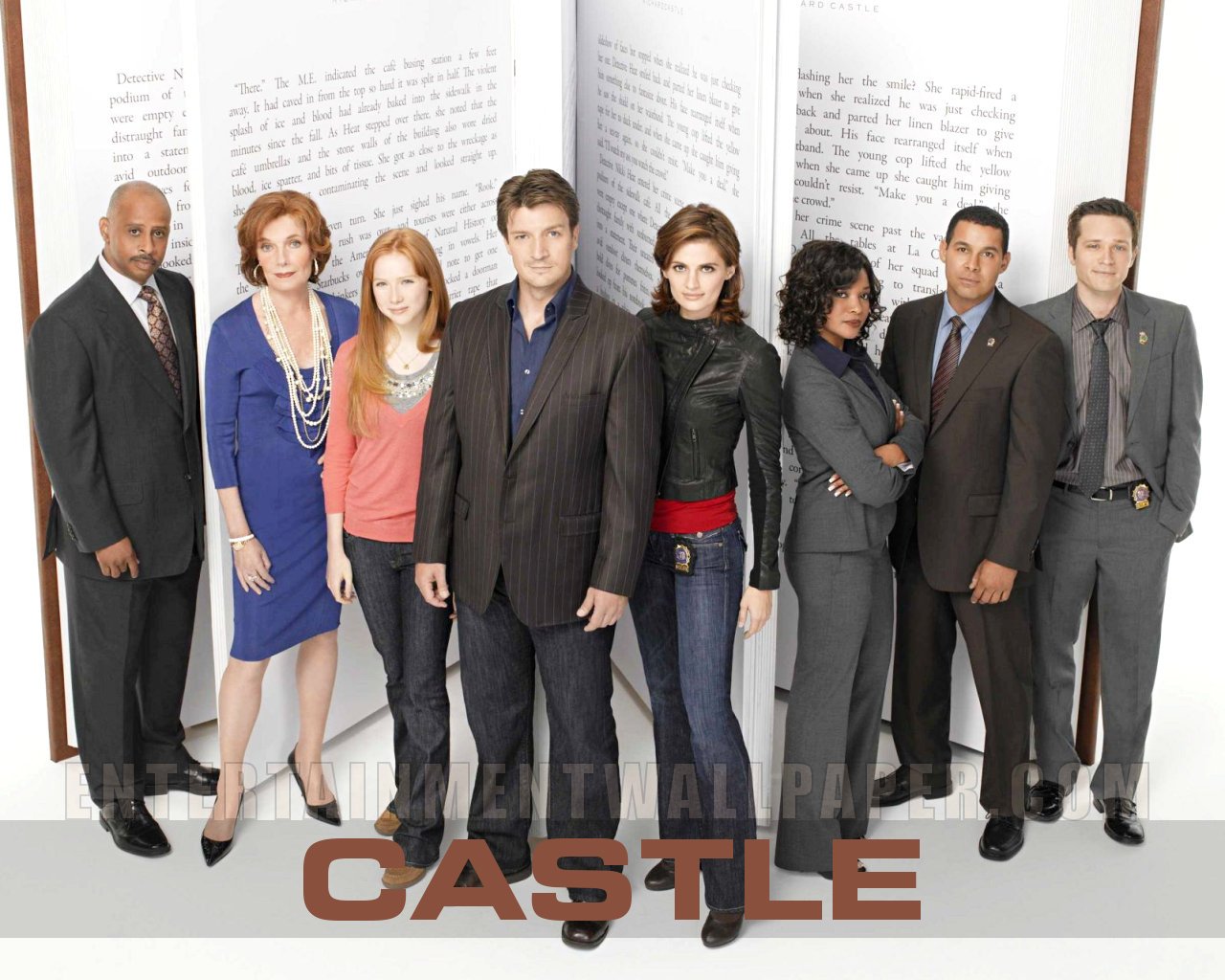 Serie fan: Castle