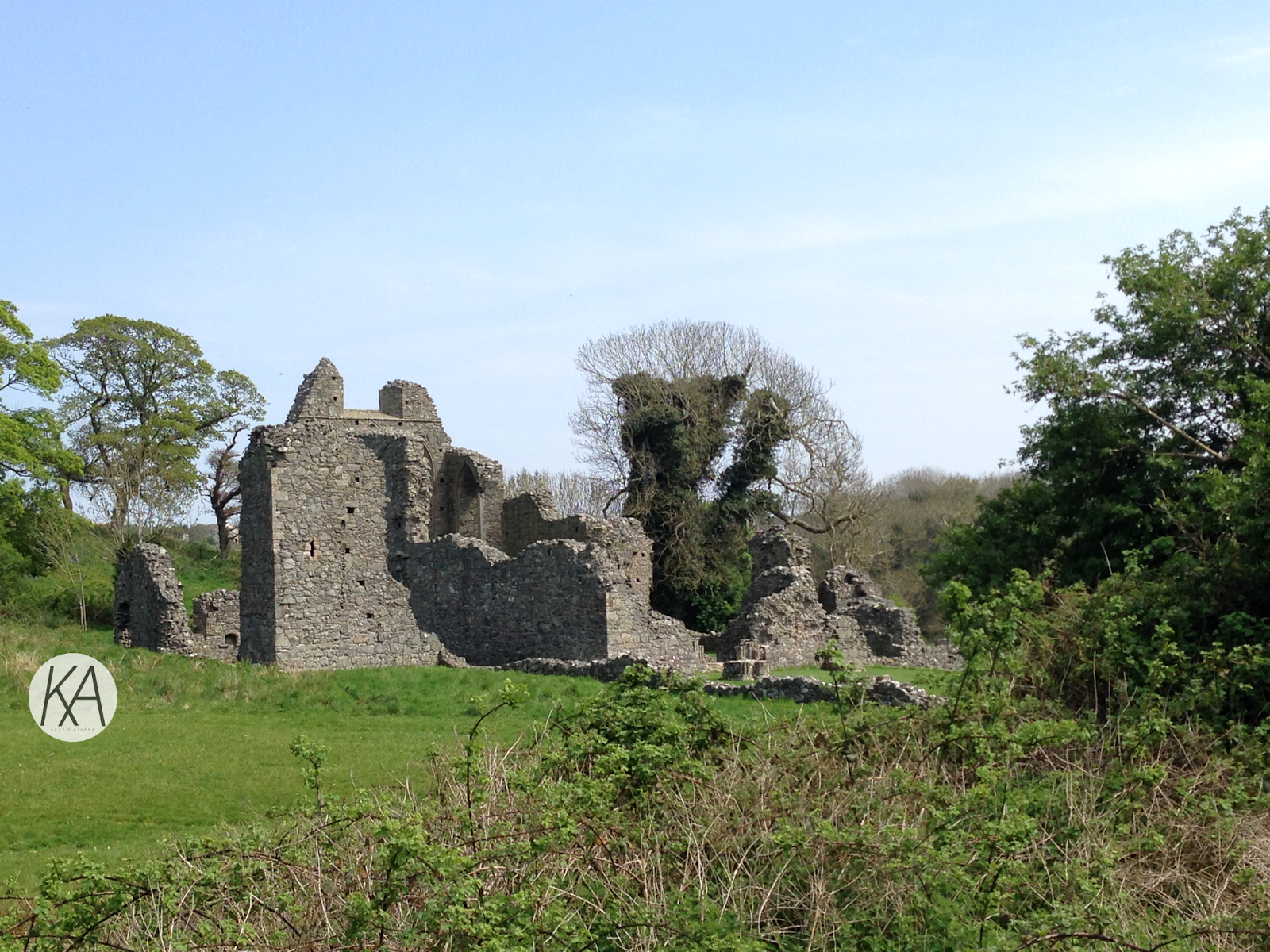 PICSPAM || Inch Abbey aka Moat Cailin in Game of Thrones