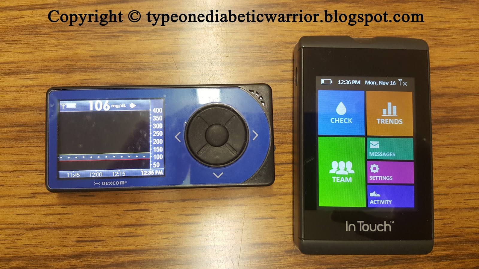 I am a Type 1 Diabetic Warrior: My experience with the In Touch Livongo ...