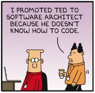 What exactly does a software architect do?