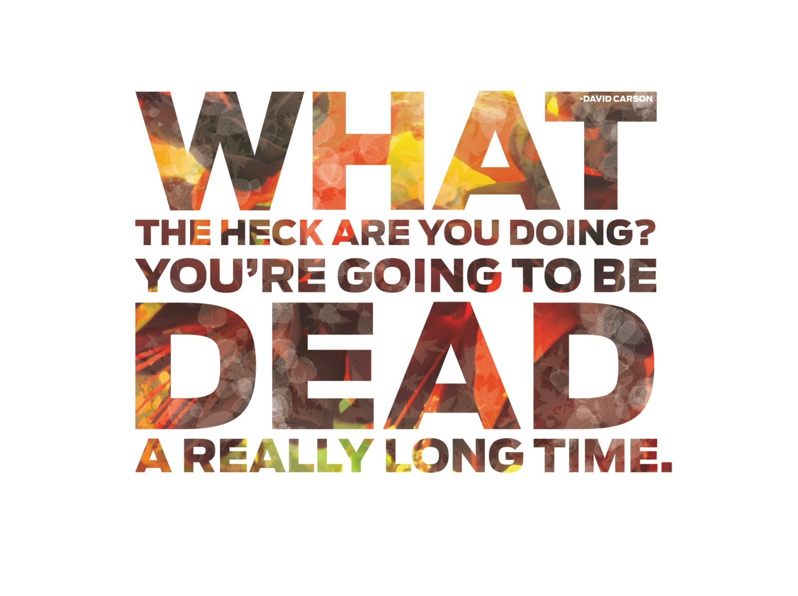 Visual Communication: Mark Murphy- Design Hero's