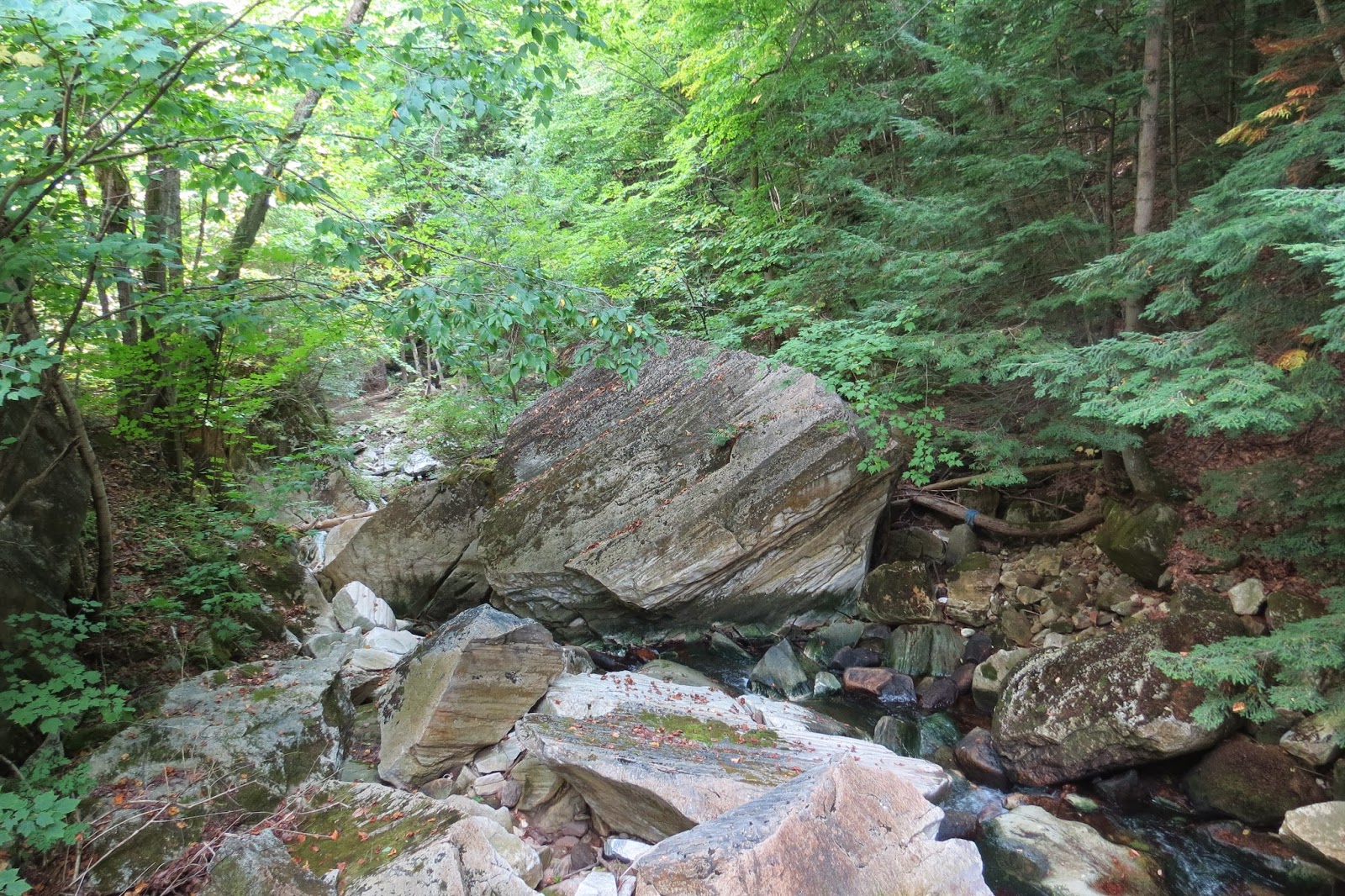 Where's Liz? 2014: White Marble Dam, Natural Bridge, and Mount Greylock