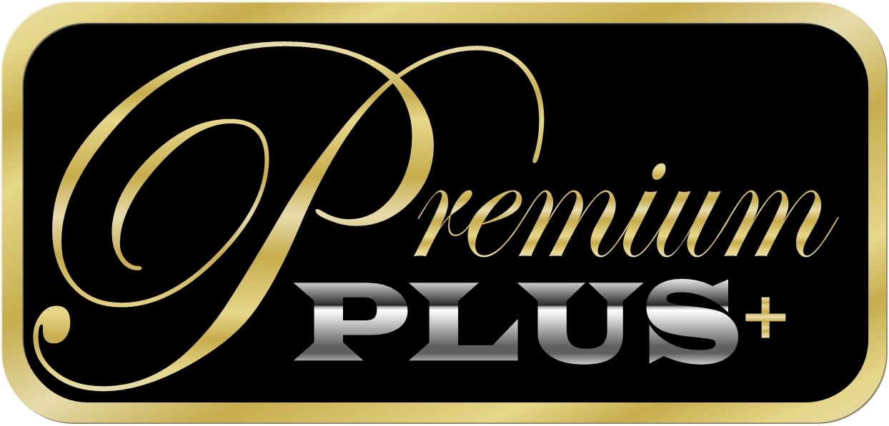 Güncel Premium Sifreleri Hesaplar: Premium Generator