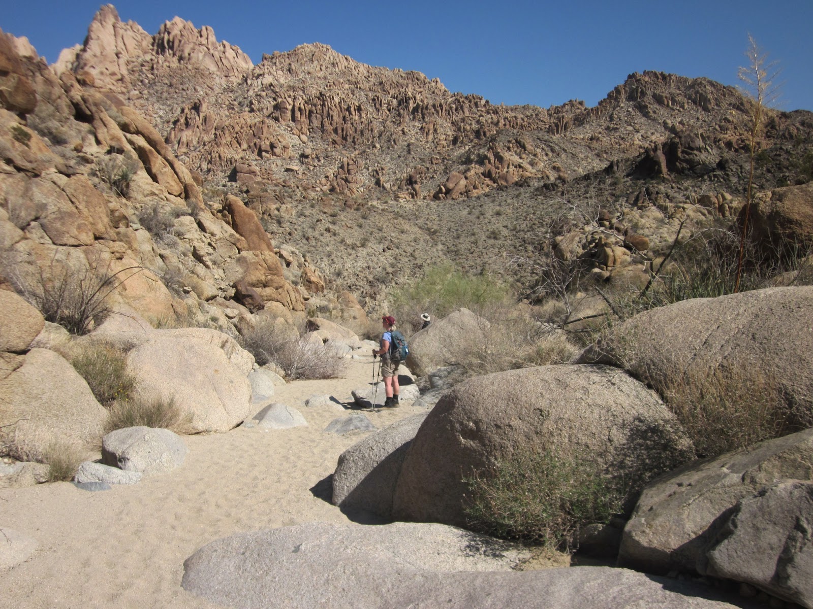 Smoky Scout's Hiking Adventures: Joshua Tree NP - Carey's Castle and ...