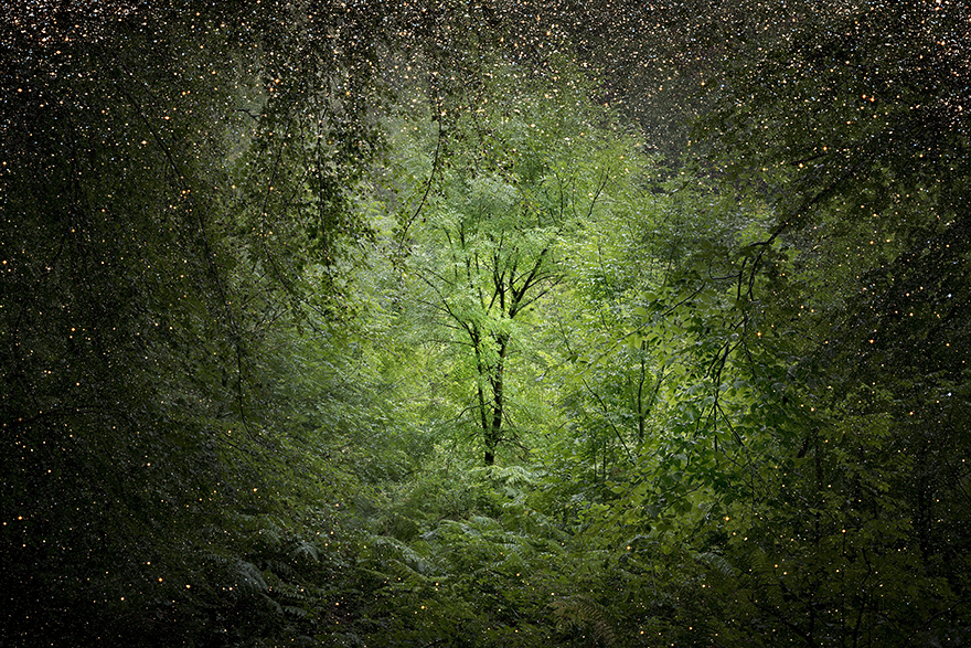 bensozia: Ellie Davies Photographs Fairyland