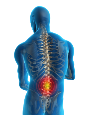Easy to Healthy: Joints and Connective Tissues Causing Back Pain
