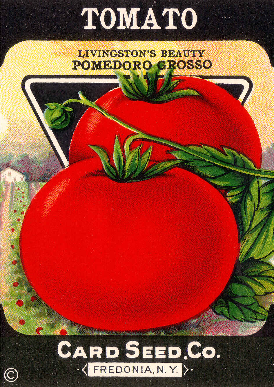 Vintage seed packets, Seed packets, Vegetable seeds packets