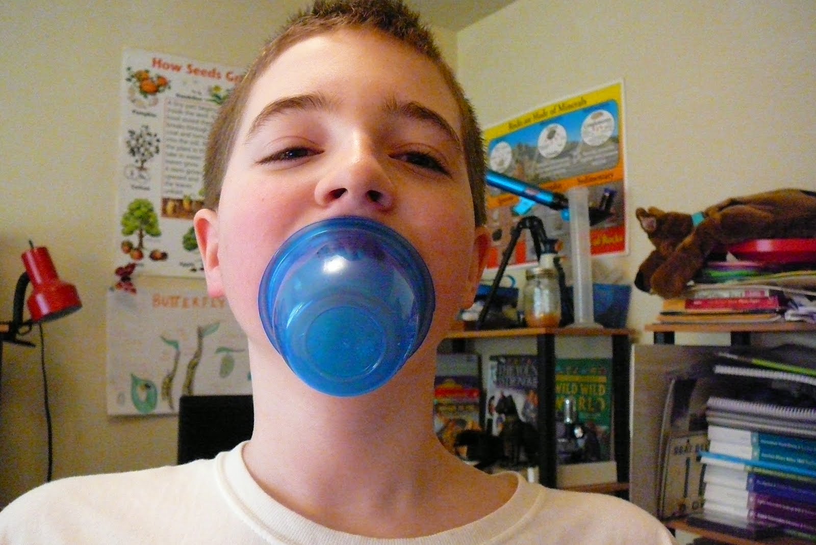 Dear Noah: Dear Noah....your purple/blue chin....