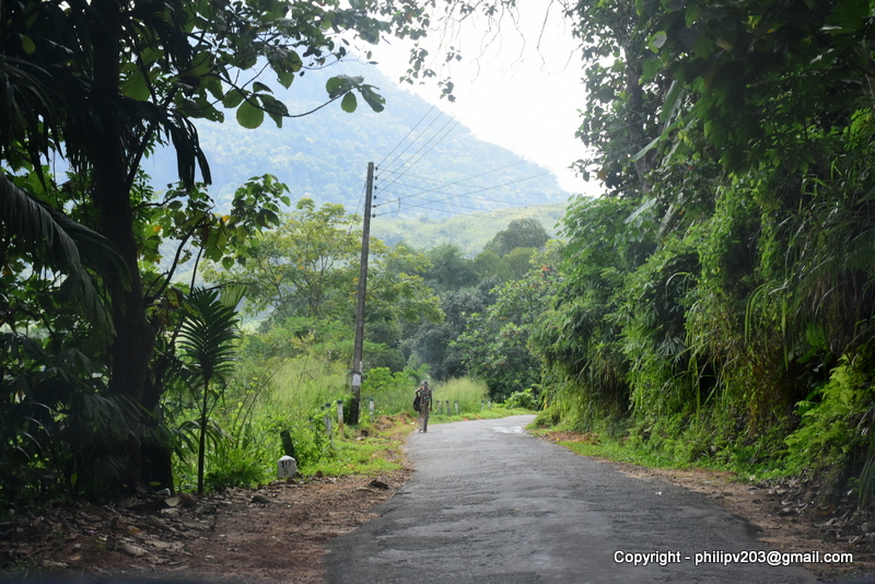 Images of Sri Lanka on blogspot.com: Scenes at Punugala from ...