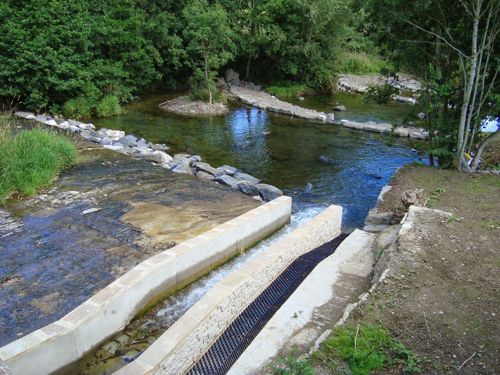 8th August 2014 - Fishtek