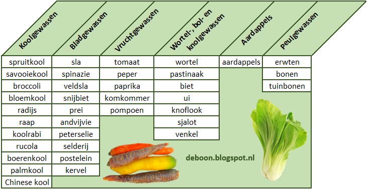 Schema Wisselteelt Moestuin | De Boon in de Tuin