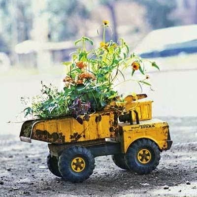 Junque Gypsies: Gardening in and out of the box