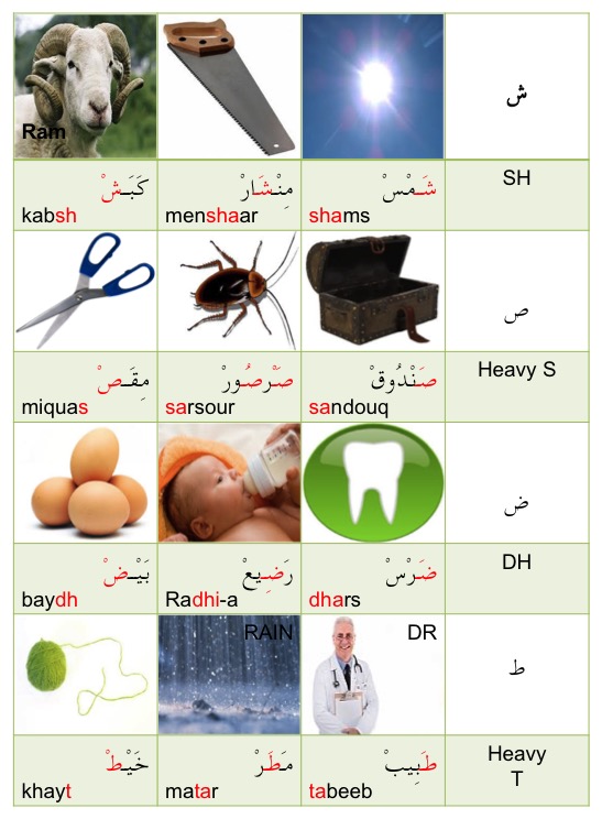 Kinds of vowels in Arabic: tashkeel