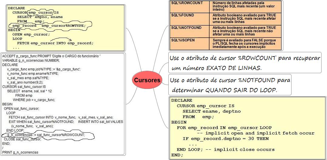 Mapas mentais para concursos de TI: Oracle 11g - PL/SQL