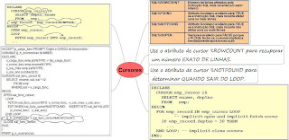 Mapas mentais para concursos de TI: Oracle 11g - PL/SQL