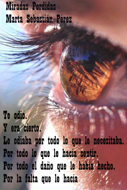 Cazafantasía: Miradas Perdidas #MartaSebastiánPérez