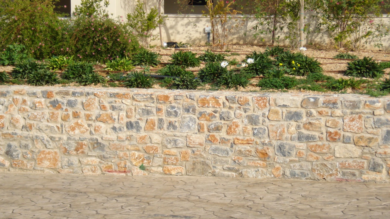 ΚΡΗΤΙΚΑ ΦΥΣΙΚΑ ΠΕΤΡΩΜΑΤΑ: CANDIA MARIS