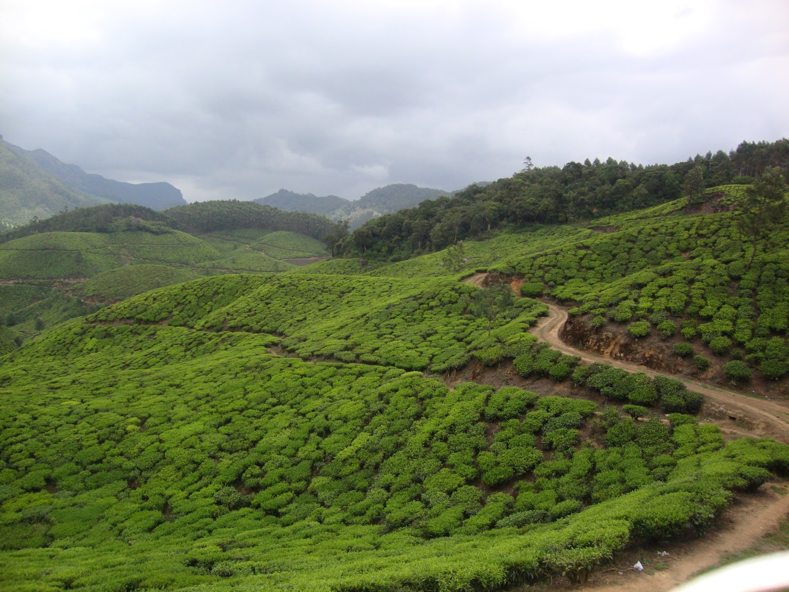 JoURneY THrougH My LeNs : HYPNOTIZING BEAUTY OF MUNNAR