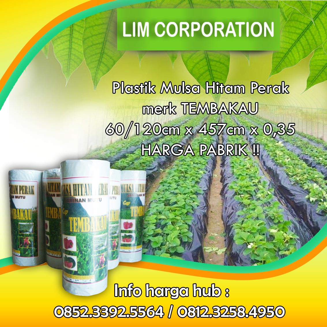 Mengenal Manfaat Mulsa Organik, Anorganik dan Kimia-sintetis ...