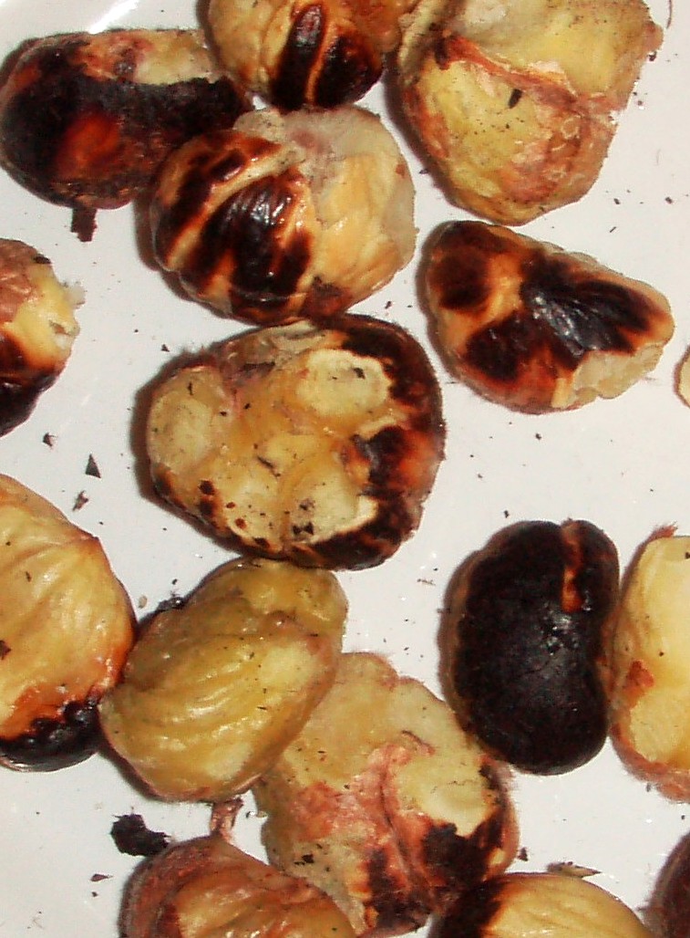 The Urbane Forager: Chestnuts Roasting on a Pot Bellied BBQ
