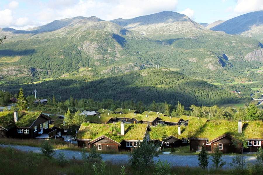 Mail2Day: Go Green | Traditional Grass Roofs of Norway (21 pics)