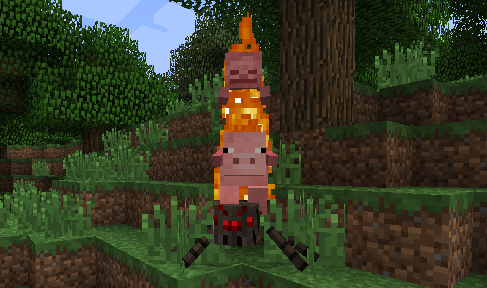 Survivalcraft: A Minecraft Server