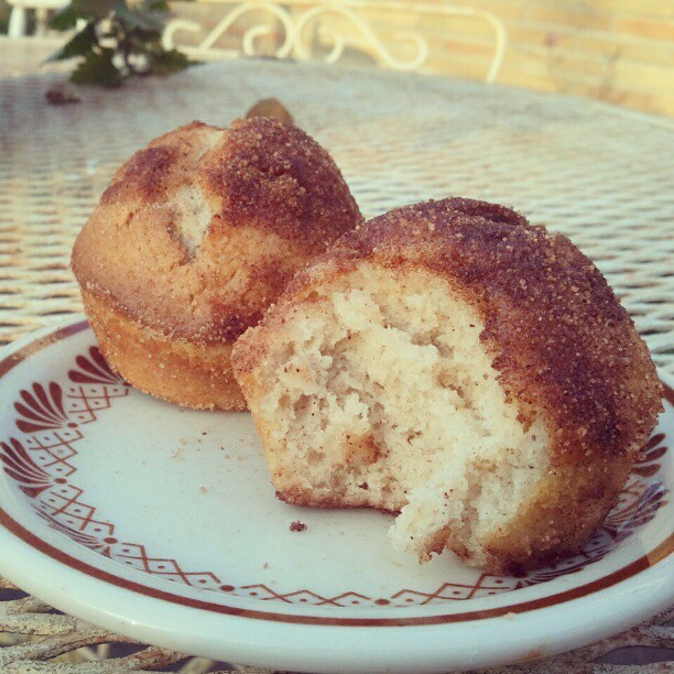 Confessions of an Art Major: A Talking Muffin