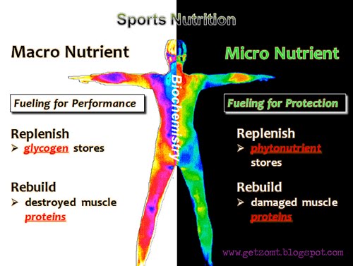 Introduction to Nutritional Concepts: Macro and Micronutrients