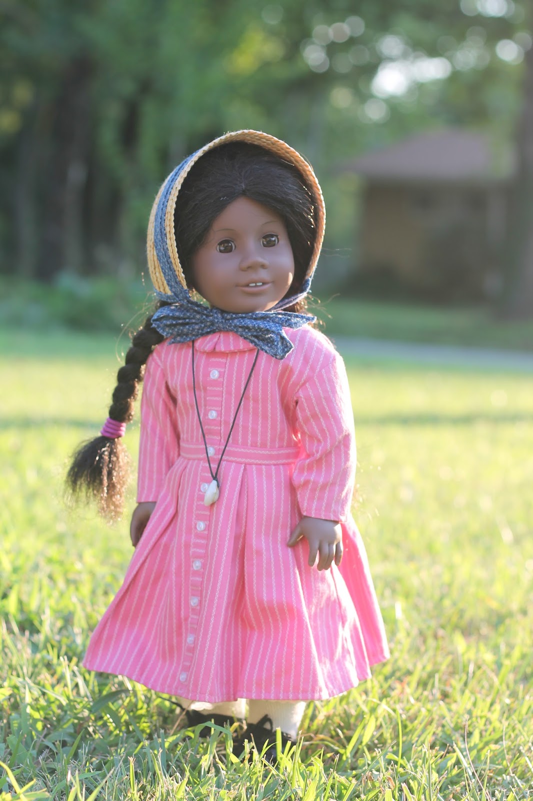 A Doll's Life : Meet Addy!