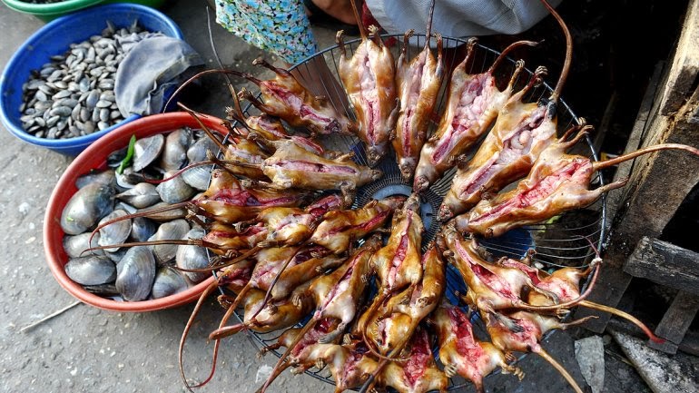 Restaurante ofrece carne de ratas asadas. - LA VOZ DEL NORTE