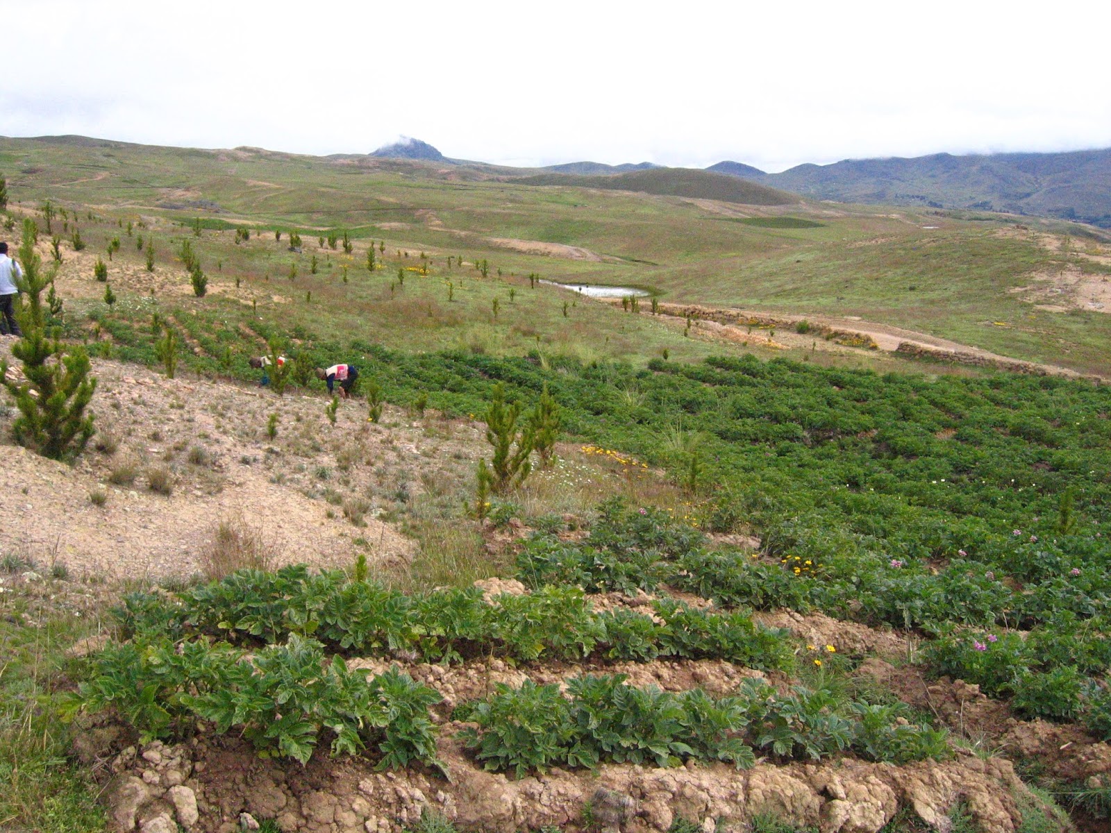 guia Cusco Peru: Visitando el Mirador de la Comunidad de Cuyuni ...