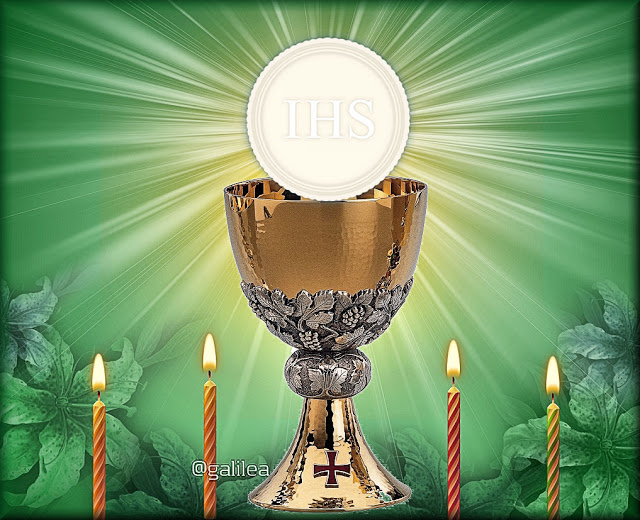 ® Blog Católico Gotitas Espirituales ®: IMÁGENES DE LA EUCARISTÍA