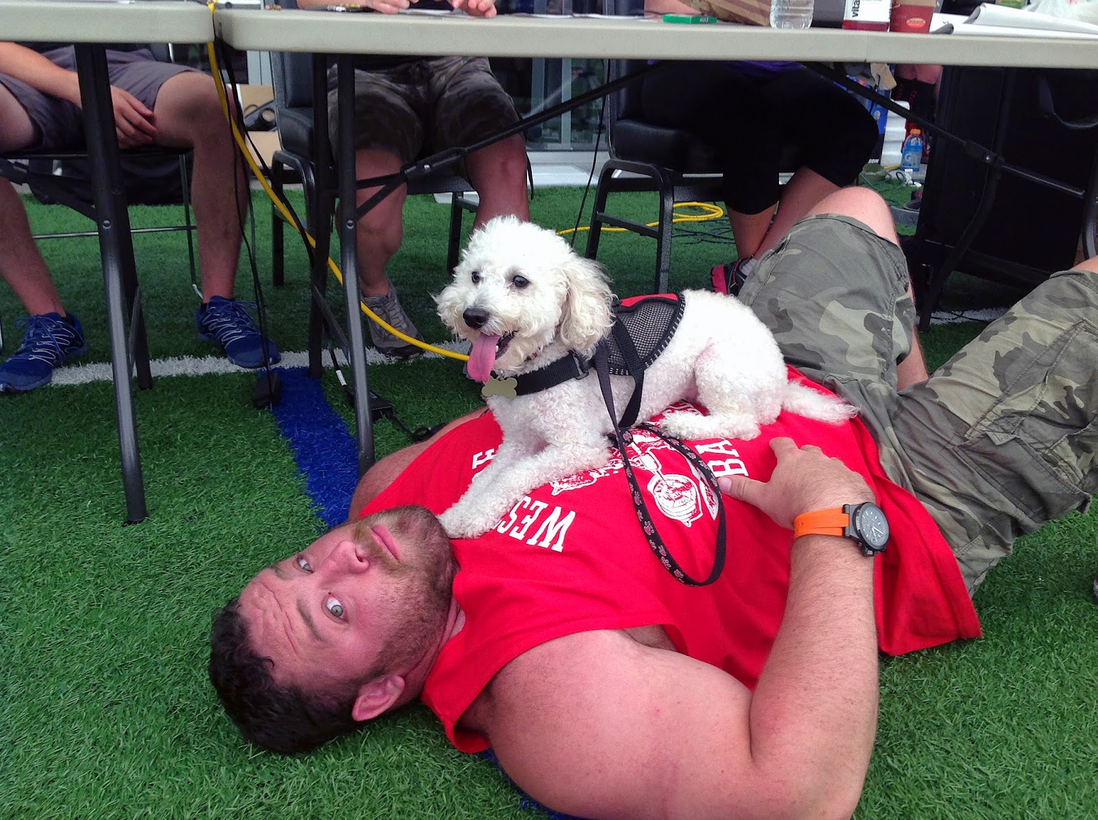 International Powerlifting Association: 2014 Meet Results