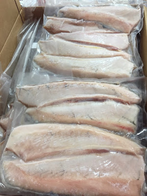 Using Frozen Tuna Belly Product for Cooking Competition Ingredient ...