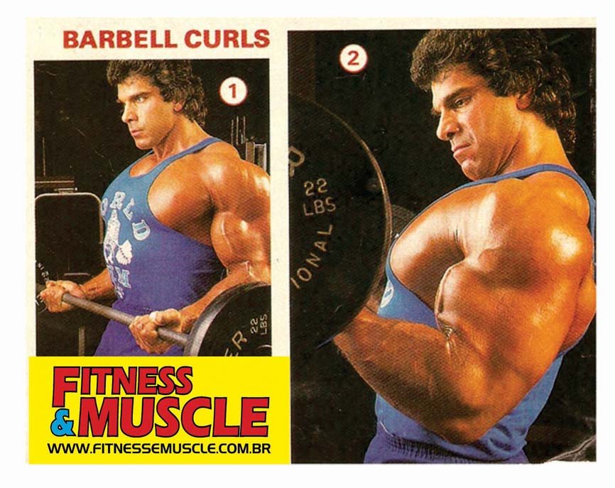 FITNESS&MUSCLE: TREINAMENTO DE BRAÇOS DE LOU FERRIGNO