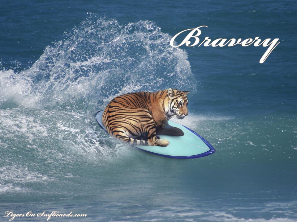 Tigers on Surfboards