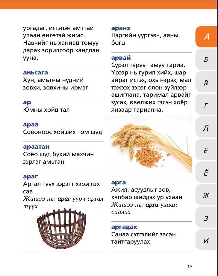 Шинэ номын танилцуулга ~ БАГА АНГИЙН БАГШ НАРЫН ХӨГЖИЛ ХОЛБОО