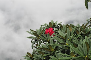 Nuwara Eliya district - Sri Lanka information in one place......