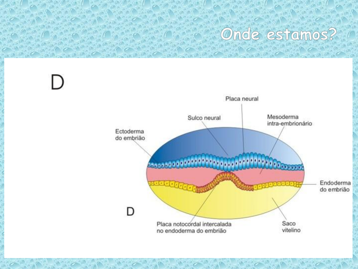 Diário De Dois Pais: Junho 2017