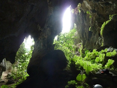 Caving in SE Asia: Documentary filming in Merapoh caves