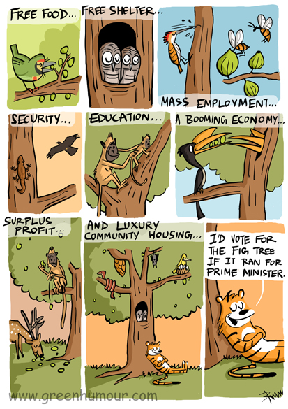 Green Humour: The Fig Tree